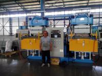 China 15KW Medical Butyl Rubber Stopper Compression Molding Machine for Manufacturing Plant for sale