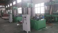 China rubber car mats vulcanizing press machine for sale