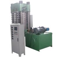 China hot plate rubber curing  press Most Competitive Prices for sale