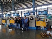 China Vacuum Compression Forming Press for sale