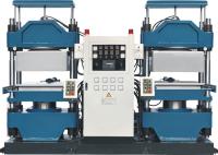 China Vulcanizing Machine with Vacuum System for kinds of rubber parts like o ring/oil seal for sale