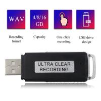 China Professional Portable USB Recording Device One-Key Recording Flash Drive With Digital Audio Formats MP3 WAV REC for sale