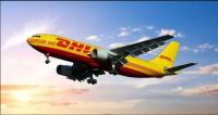 China Door To Door DHL Shipping From China To USA , DHL Freight Forwarder Shipping From China To United States for sale