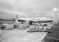 China Affordable DDP Air Freight From China To Italy Complete Cargo Insurance for sale
