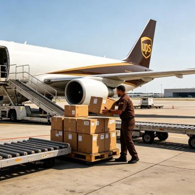 China DDP International Express DHL Shipping From China To Canada , DHL Express To Canada Door To Door for sale