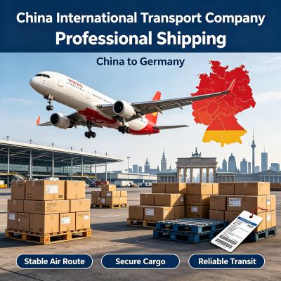 China International Air Shipping From China To Germany Customs Clearance Low Delay Rate for sale