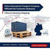 China International Air Shipping From China To Germany Customs Clearance Low Delay Rate for sale