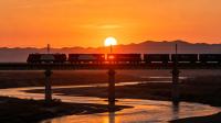 China freight forwarding company  Rail freight from China to Slovakia  Slovakia rail DDP door-to-door service  China-Slovakia cross-border rail logistics  China To Europe Railway for sale
