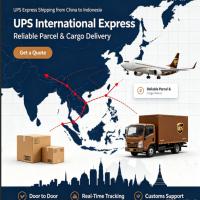 China UPS Express Shipping From China To Indonesia 4-7 Working Days Ups Express To Indonesia The Best Ups Rates From China To Indonesia UPS International Express for sale