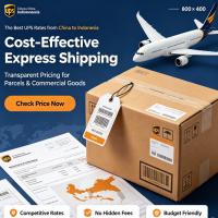 China UPS Express Shipping From China To Indonesia 4-7 Working Days Ups Express To Indonesia The Best Ups Rates From China To Indonesia UPS International Express for sale