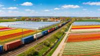 China international shipping company  China-Europe railway transportation from China to Slovenia  China-Slovenia cross-border railway logistics   China-Europe Railway Express
 China To Europe Railway for sale