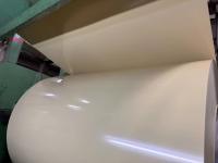 China Pre-painted galvanized steel coil/Prepainted galvanized steel sheet 0.115 to 1.2mm color coated steel coil PPGI DX51D for sale