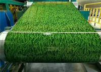 China High quality flower design PPGI /PPGL/Prepainted Galvanized Steel Coil CGCC 0.115-1.2mm from China for sale