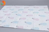 China Disposable Changing Table Pads 30x40cm to 45x65cm Waterproof Baby Placemats with Non-Slip Backing for sale