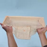China Disposable Leakproof Period Underwear Organic Cotton M/L/XL Sizes 12-Hour Protection Sanitary Pants for sale