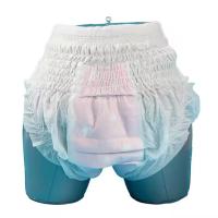 China Disposable Sanitary Panties M/L/XL Sizes 73-96cm Super Absorbent 360° Leak-Proof Women Period Underwear for sale