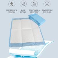 China Disposable Underpad 60×90 cm with 600 ml Absorption Capacity - Waterproof Medical Bed Protector Mat for sale