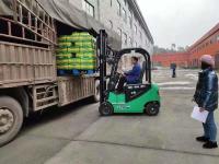 China 3000kg Capacity Toyota Forklift Electric FD15 Pallet 1.5 Ton Small 2ton 3 7ton 6m 3m for sale