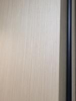 China 40（+3）DB soundproof environmentally friendly  Steel acoustic doors for recording room for sale