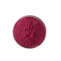 China Premium Freeze Dried Maqui Berry Powder 100% Pure Aristotelia Chilensis Extract Superfood Wild Maqui Powder for sale
