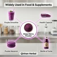 China Premium Freeze Dried Maqui Berry Powder 100% Pure Aristotelia Chilensis Extract Superfood Wild Maqui Powder for sale