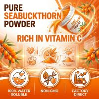 China 100% Pure Organic Sea Buckthorn Extract Freeze Dried Sea Buckthorn Juice Powder for sale