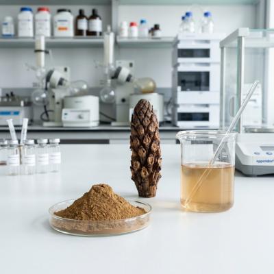 China Premium Cistanche Deserticola Extract 10:1 Instant Water Soluble Desert Ginseng for sale