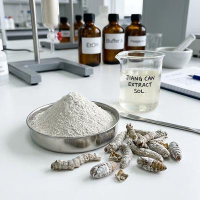 China Premium Stiff Silkworm Extract Bombyx Batryticatus 10:1 Instant Water Soluble Food Grade for sale
