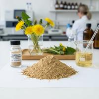 China Instant Water Soluble Dandelion Extract 10:1 Standardized Flavonoids Taraxacum Officinale Root Extract for sale