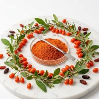 China Anti Aging Goji Berry Extract Powder Lycium Barbarum Extract Standardized Polysaccharides for sale