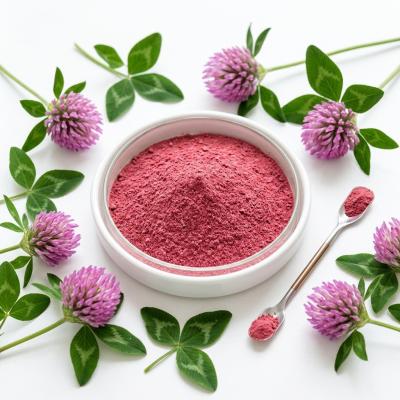 China Potency Tailoring Red Clover Extract Trifolium Pratense Extract Standardized Isoflavones for sale