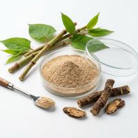 China Premium Giant Knotweed Extract (Polygonum cuspidatum) – Standardized Resveratrol for sale