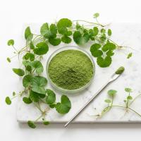 China Premium Centella Asiatica Extract Standardized Triterpenes For Wound Healing Anti Aging for sale
