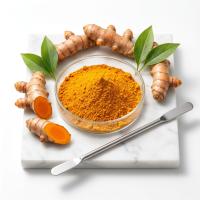 China Clean & Stable Organic Turmeric Extract Powder Curcuma Longa Extract Standardized Curcuminoids for sale