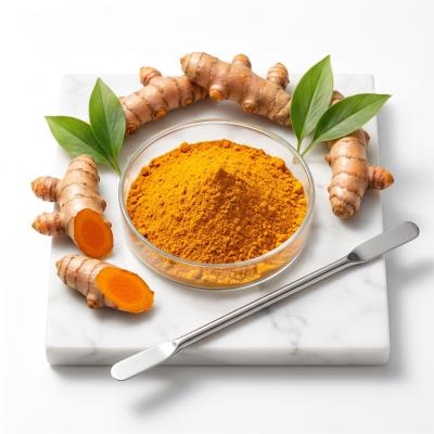 China Clean & Stable Organic Turmeric Extract Powder Curcuma Longa Extract Standardized Curcuminoids for sale