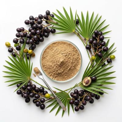 China Fatty Acids Saw Palmetto Extract Serenoa Repens Extract GC Standardized for sale