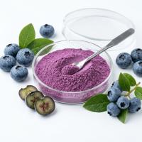 China High Potency Blueberry Extract Vaccinium Corymbosum Standardized Anthocyanins for sale
