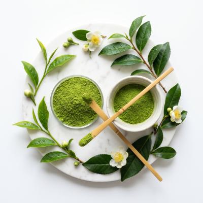 China Bulk Powders Green Tea Extract Camellia Sinensis Standardized Polyphenols / EGCG Powder for sale