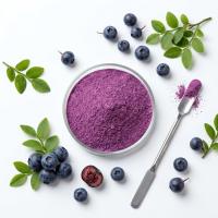 China Standardized Anthocyanins Bilberry Extract Vaccinium Myrtillus Extract Vision Support for sale