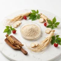 China Health Benefits Ginseng Extract Panax Ginseng Extract Standardized Ginsenosides 5% - 80% for sale