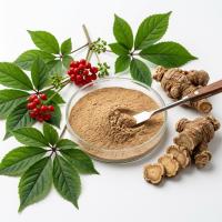 China Standardized Total Saponins Notoginseng Extract Panax Notoginseng Extract Fine Powder for sale