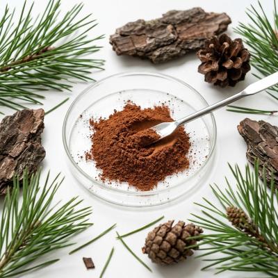 China Premium Pine Bark Extract Pinus Massoniana 95% OPCs Plant Extract Powder for sale