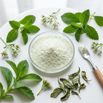 China Bulk Stevia Powder Stevia Extract Reb-A 98%  Natural Zero Calorie Sweetener for sale