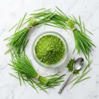 China Nutrient Dense Alkaline Green barley grass extract powder Superfood for sale