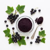China Powder Fruits And Veggies Black Currant Powder Anthocyanin Rich Vision & Immunity Support for sale