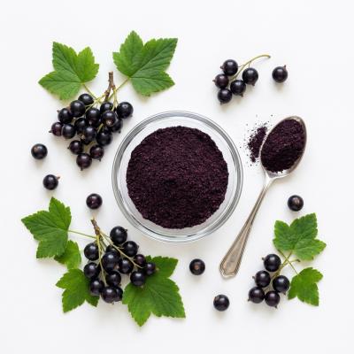 China Powder Fruits And Veggies Black Currant Powder Anthocyanin Rich Vision & Immunity Support for sale