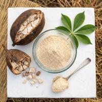 China High Natural Premium Baobab Fruit Powder Nutrient Dense African Superfruit Concentrate for sale