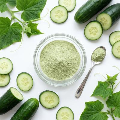China Refreshing Hydration & Nutrient Concentrate Fruit and Vegetable Powder Premium Cucumber Powder for sale