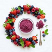 China Mixed Berry Powder Synergistic Antioxidant Super Blend Fruit & Vegetable Powder for sale
