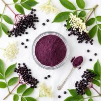 China Potent Immune Support Super Concentrate Elderberry Powder Bulk Non Irradiated for sale